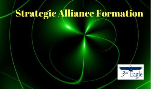 Forming Strategic Alliances for Your Company's Success | 3rd Eagle